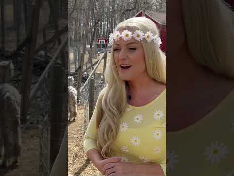 Fun Facts About Alpacas | Farm Adventure with Miss Daisy! Toddler Learning