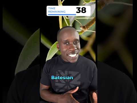 Mimicry in 60 seconds #biology #science #stem #biologyteacher #makingbiologyfun