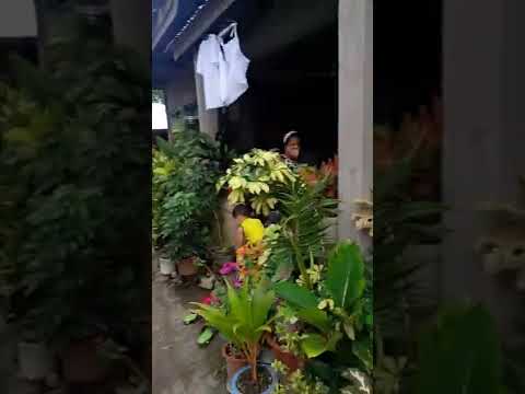 Bantiles Bugo Part3