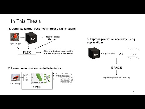 Explaining and Improving DNNs via Concept-based Explanations - Sandareka Wickramanayake