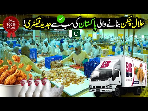 100% Halal Modern Chicken Meat Processing In Pakistani Factory | Made In Pakistan