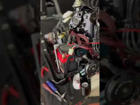 Dorbyworks GY6 wire harness. #dorbyworks #gy6 #hondaruckus #lizrucks #ruckus #honda