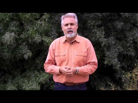 Sustainability in California
