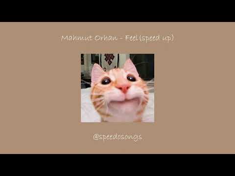 Mahmut Orhan - Feel (speed up)