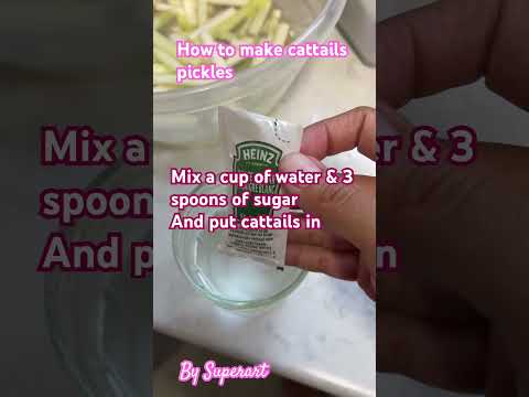 How to make cattails pickles #cattails #pickle