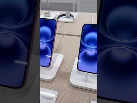 All iPhone 16 Models #shorts