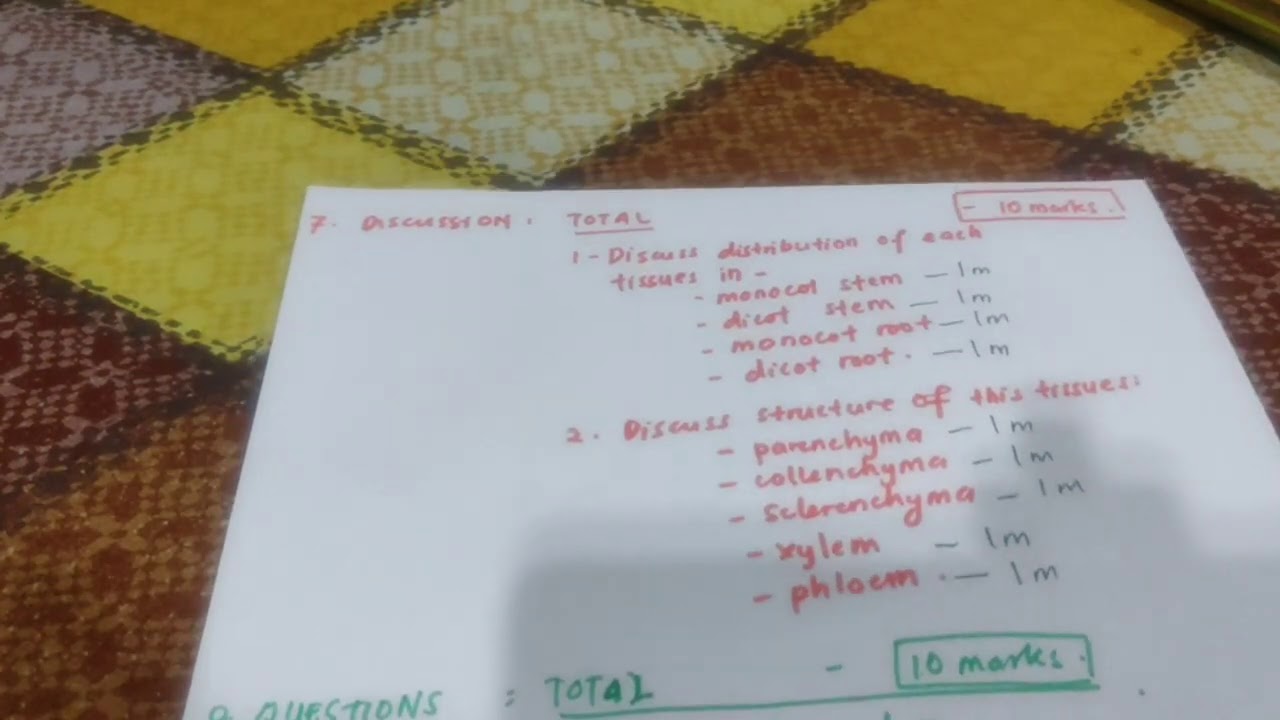 LAPORAN AMALI PLANT TISSUE
