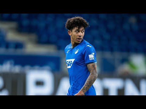 Chris Richards 2020/21 Season Highlights | Hoffenheim