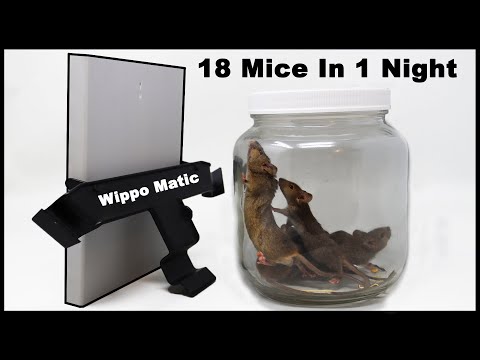 wippo-matic bucket mouse trap by bultmann - Thingiverse
