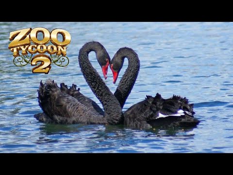 Zoo Tycoon 2 - Global Zoo 2.0 pt.16 - Black Swan Walktrough Aviary