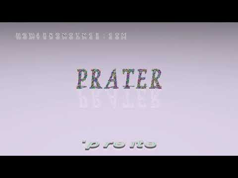 prater - pronunciation + Examples in sentences and phrases