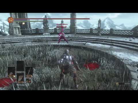 Dark Souls 3 - The Battle Of 15,000 Parries And One Riposte!!!