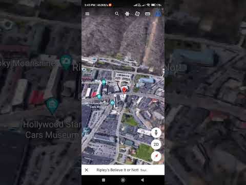 An elephants with two trunks found in google earth #shorts #ytshorts #tipsbyvicky