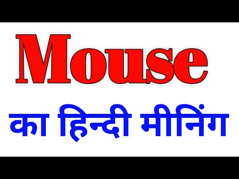 mouse meaning in hindi | Mouse meaning hindi mein | mouse ka matlab hindi mein
