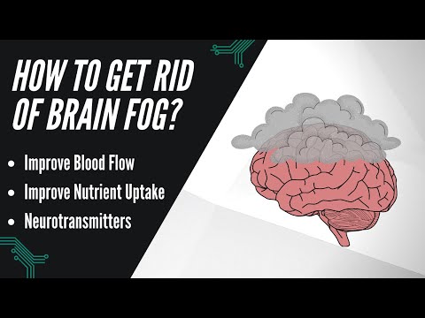 How to Get Rid of Brain Fog? | Causes and Solutions