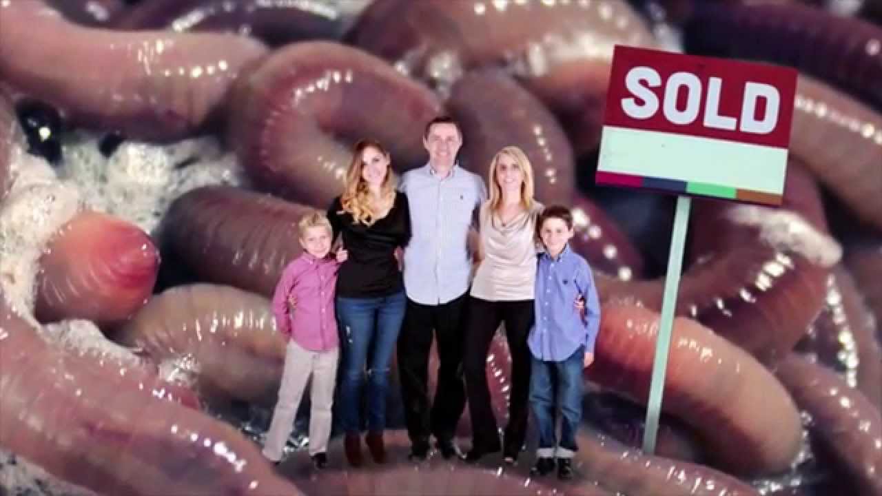 WORMS! WORMS! WORMS! WORMS! WORMS! WORMS!