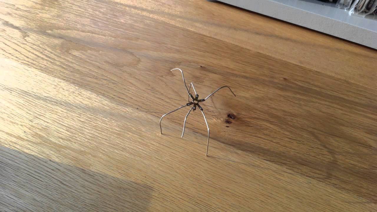 Stop Motion - insect 001