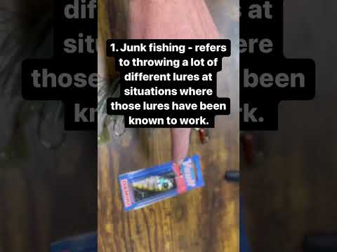 3 Key Bass Fishing Terms I had No Clue about as a Rookie #bassfishing