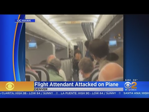Flight From JFK To John Wayne Airport Diverts To Denver After Flight Attendant Attacked By Passenger