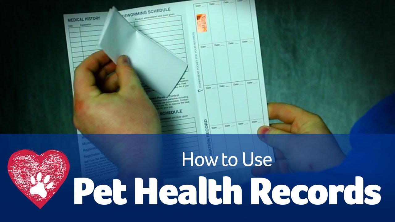 How to Use Revival's Pet Health Records