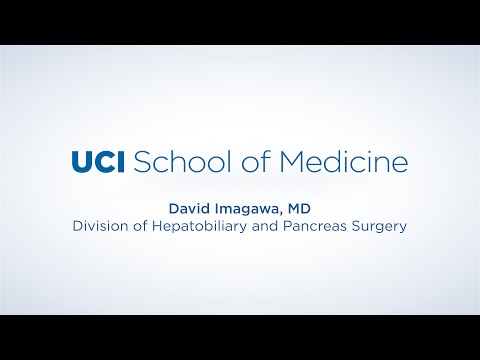 Division of Hepatobiliary and Pancreas Surgery