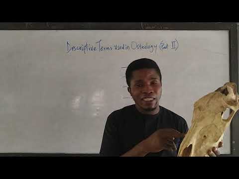 Descriptive terms used in Osteology (Part II)
