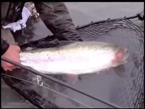 CENTER PIN SECRETS for Trout & Steelhead