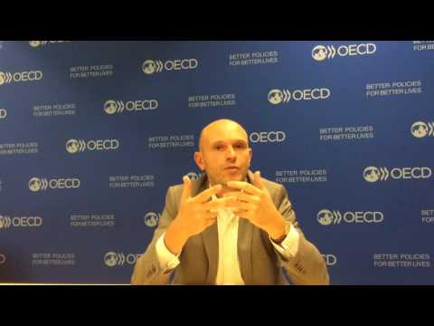 OECD Guidelines for Multinationals Labor Standards