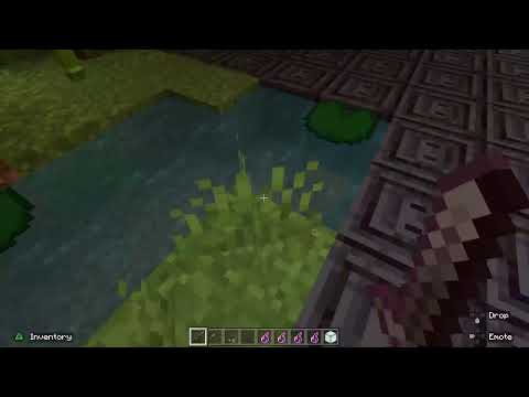 Minecraft Raids Lfg - Discord Server