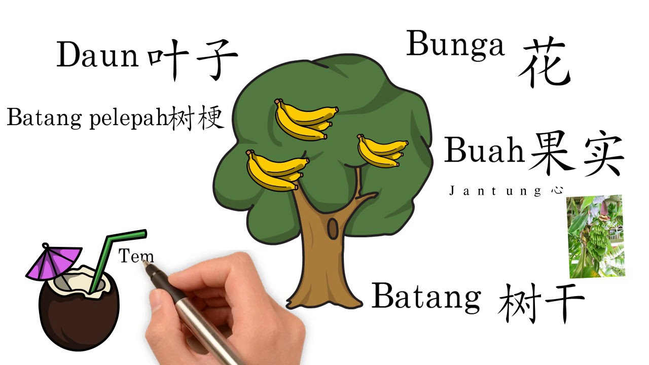 Bina Ayat （2）做Kegunaan的题目小技巧