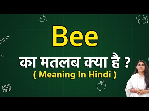 Bee meaning in hindi | Bee ka matlab kya hota hai | Word meaning