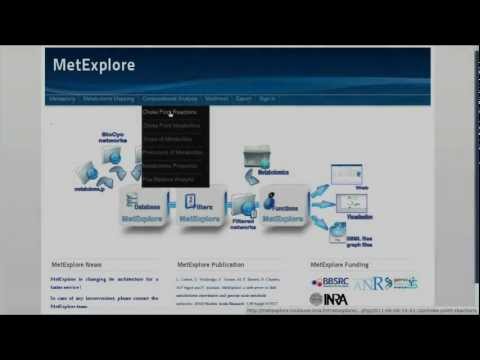 Flux Variability Analysis with MetExplore