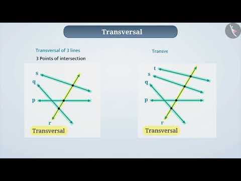 What is a Transversal? Video Lecture - Class 7