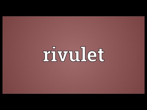 Rivulet Meaning