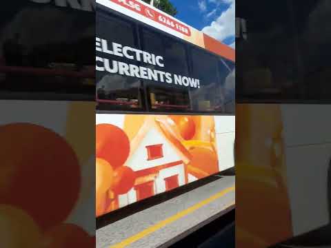 [SBST][Advertisements] Scania K230UBs with Pacific Light & Yakult Ads B2B #shorts
