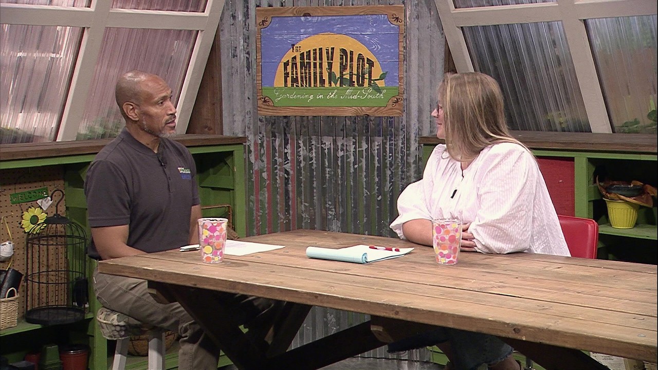 The Family Plot - May 16, 2026