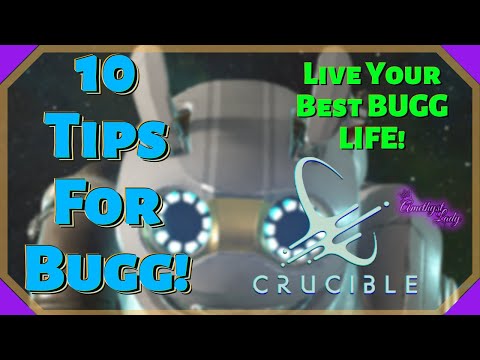 Steam Community :: Video :: 10 Tips For Bugg | How To Play Bugg - Live ...