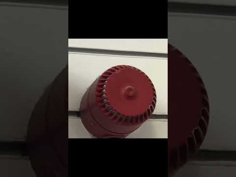 100th video