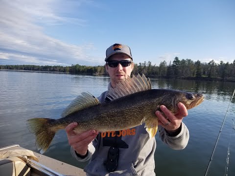 Minnesota Fishing Opener 2022 - Big Walleye!