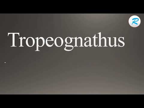 How to pronounce Tropeognathus