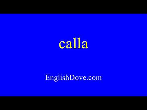 How to pronounce calla in American English