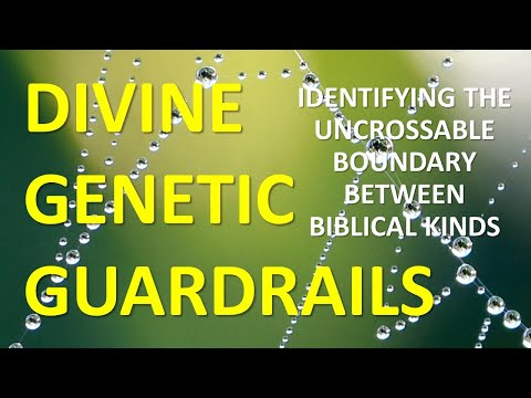 Is Genetic Novelty Evidence of Special Creation? Can Divine Guardrails be Identified in Genomes?