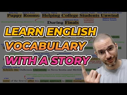 Learn Advanced English Through Real News: Puppy Rooms Help Students | Vocabulary + Grammar + PDF