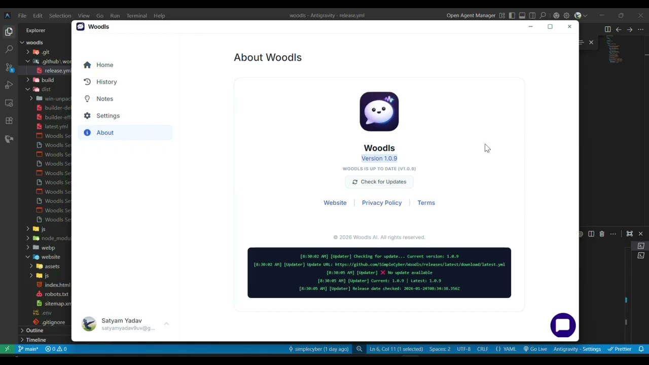 How Desktop applications auto Update