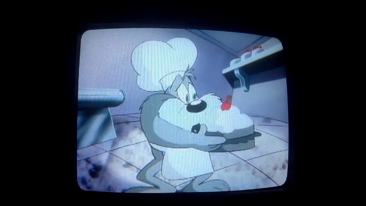 Tiny Toon Adventures I Love Dizzy