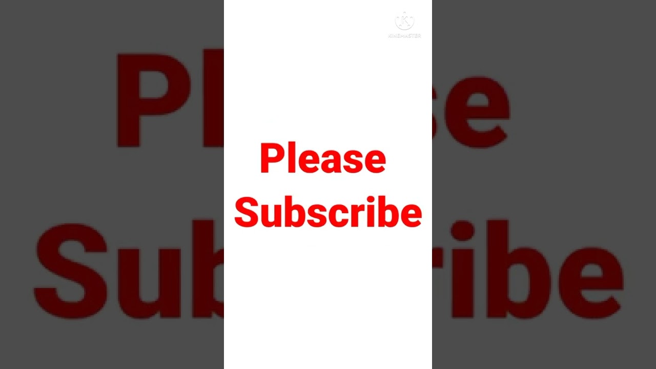 The Summer I Turned Pretty PDF Download #TheSummerITurnedPrettyPDF