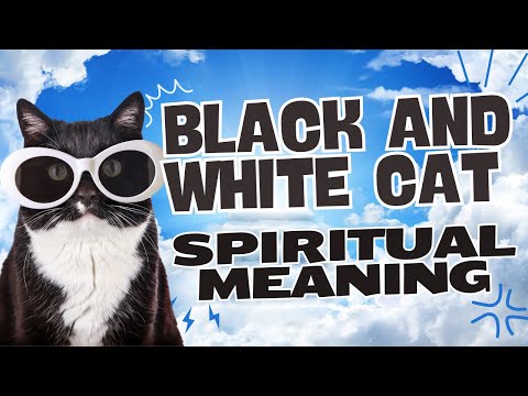 Black And White Cat Spiritual Meaning | The Spiritual Parrot