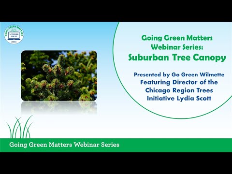 Our Urban Tree Canopy - What's It Worth?