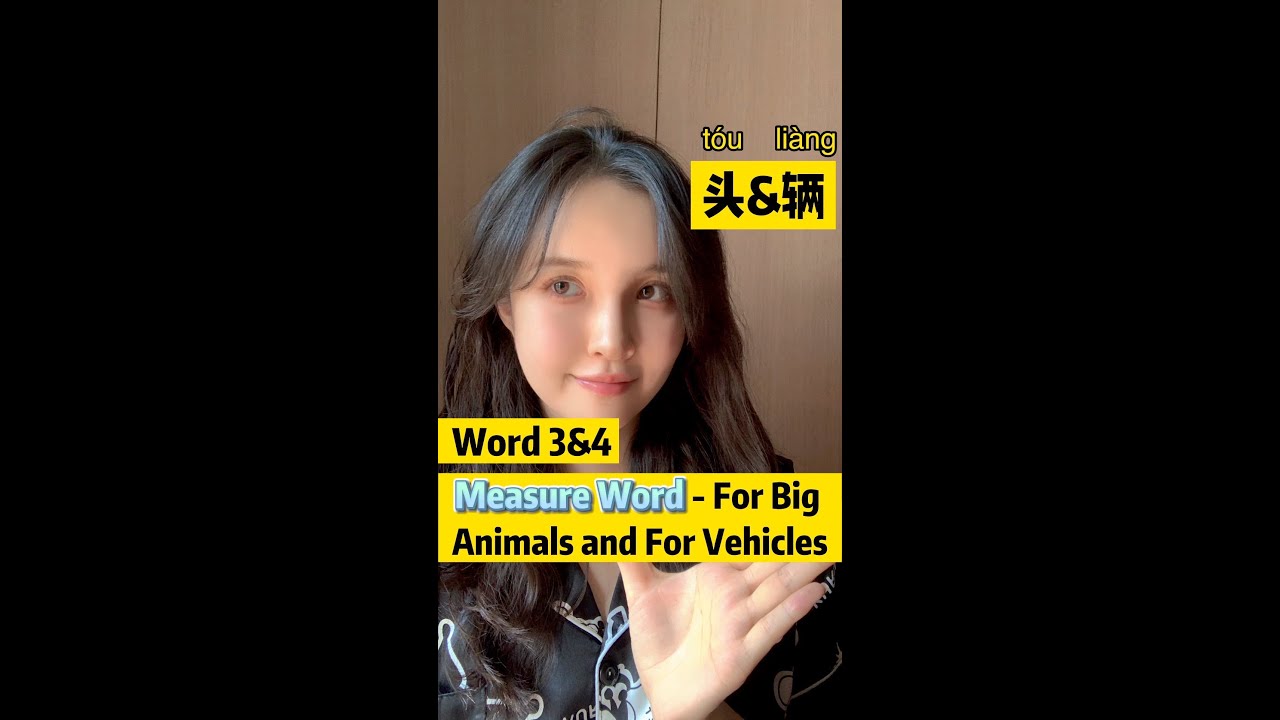 Word 3&4: Measure Word-For Big Animals and For Vehicles
