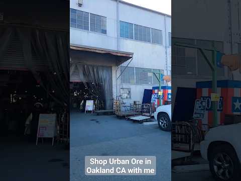 shop an insane THRIFT store in Oakland CA with me